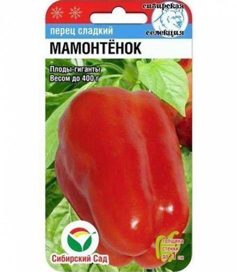 Мамонтенок Помидоры Фото И Описание – Telegraph